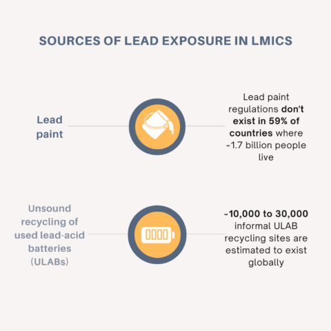 Sources of Lead Exposure in LMICs | Lead Elimination