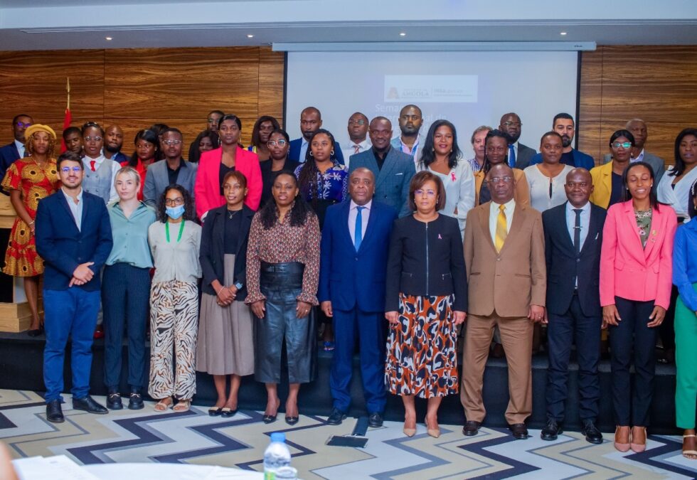 Lead paint workshop in Angola following new study results | Lead ...